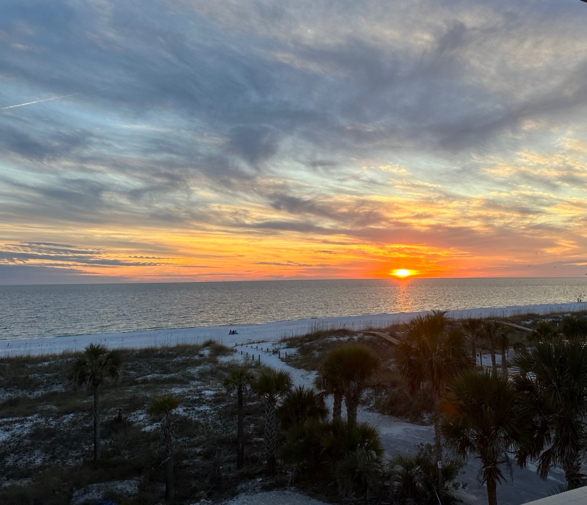 Gallery – Lovely Day in Mexico Beach, Florida